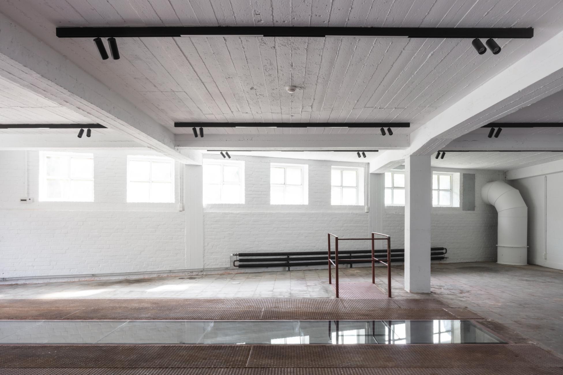 Safari Studio | Renoscripto